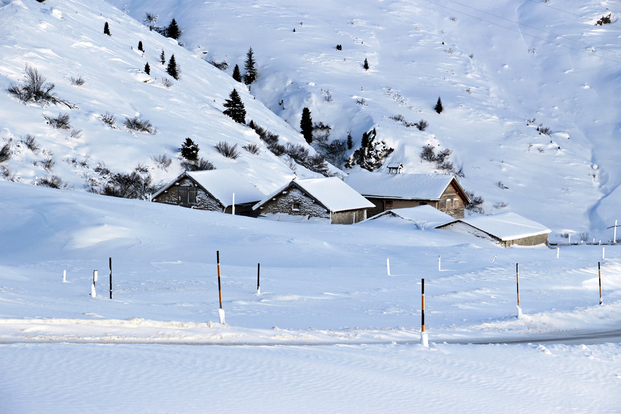 Snowed In?