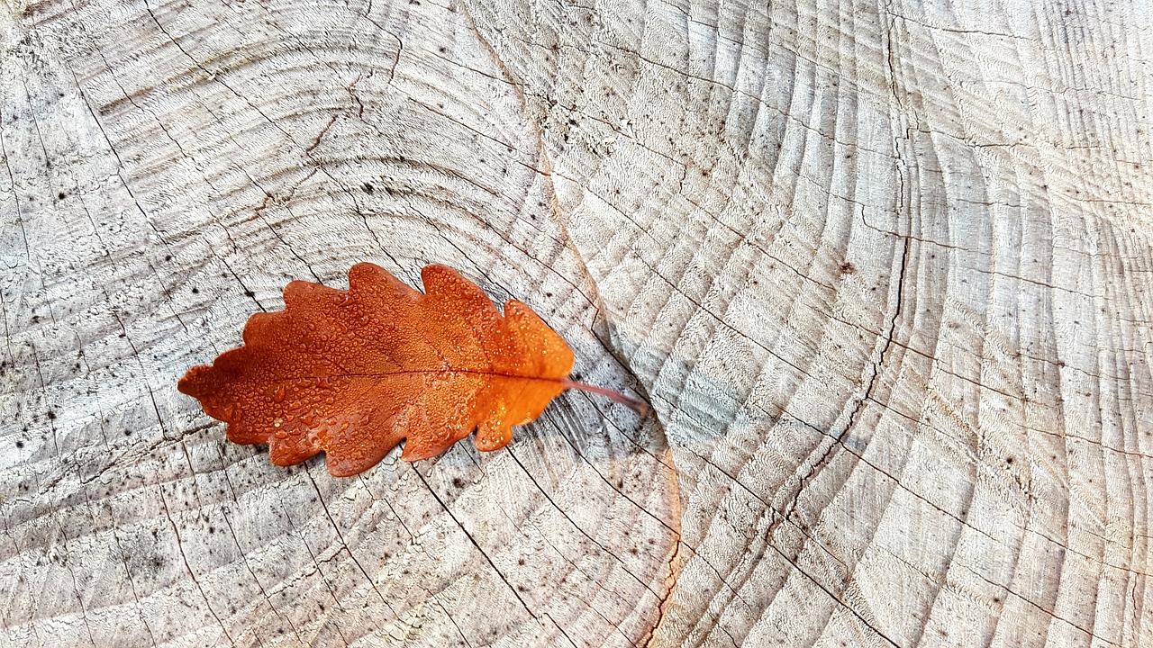 Falling Into a Rut